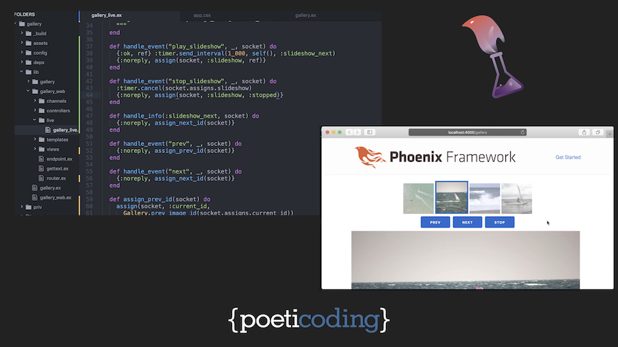 Understanding Phoenix Liveview Build A Gallery App